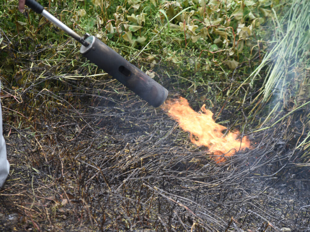 Controlling weeds in organic crops through the use of flame weeders - OFRF Organic Research Hub