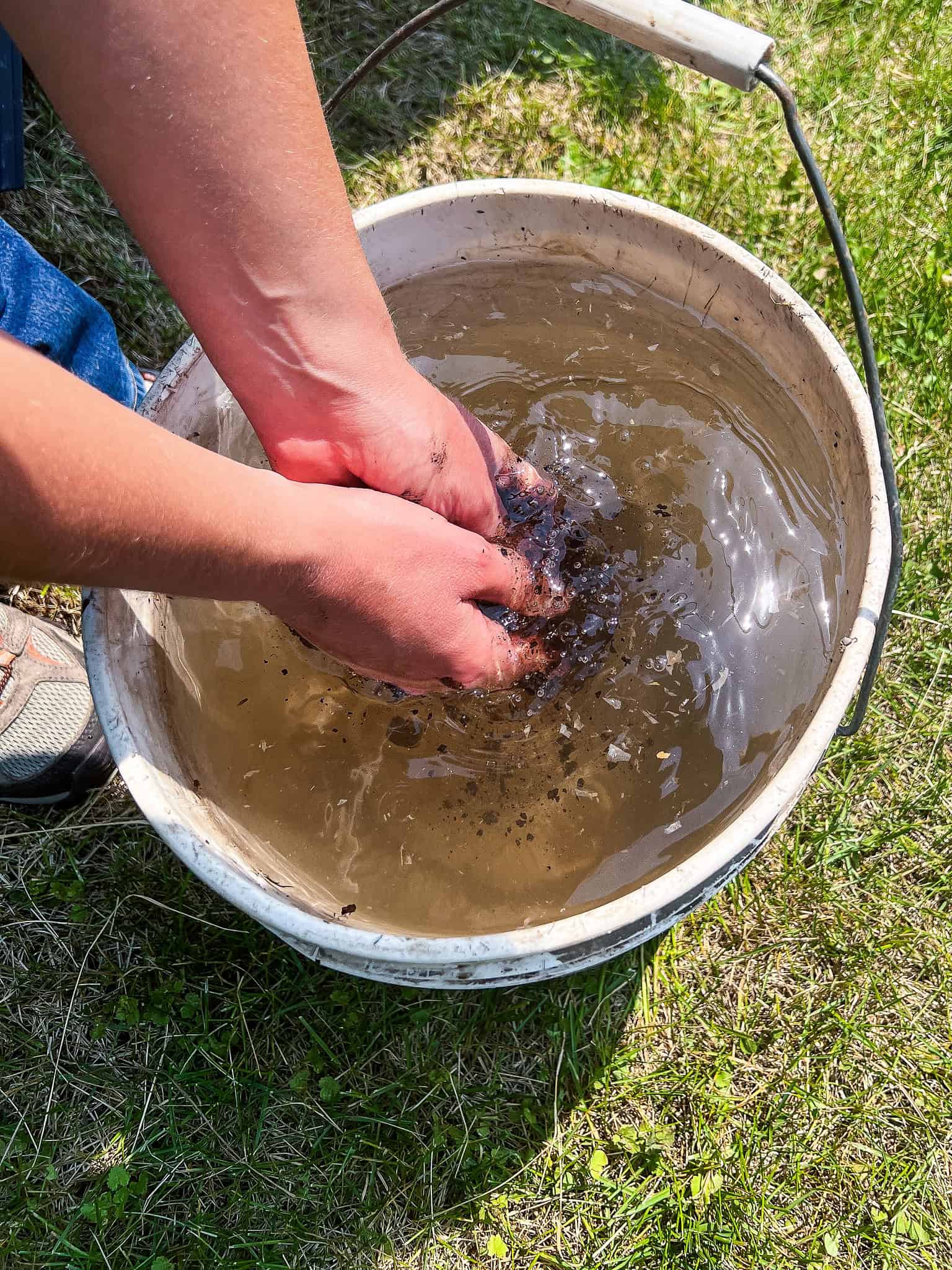 Analysis of Compost Tea Under Different Stages of Production - OFRF ...