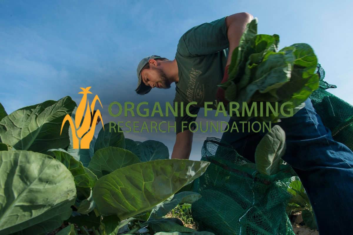 OFRF Organic Research Hub: Extension Directory