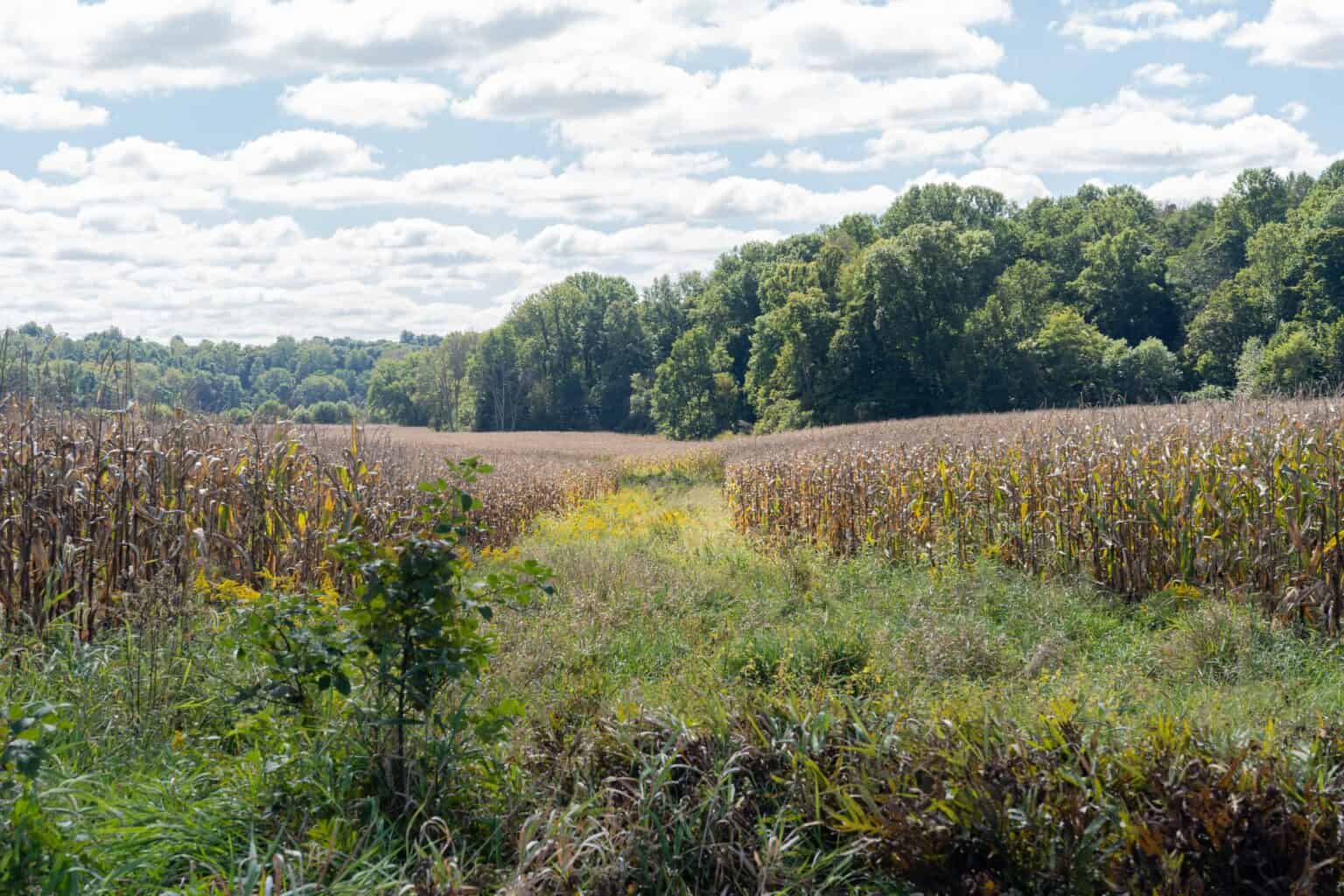 OFRF Organic Research Hub | Curated Farming Resources